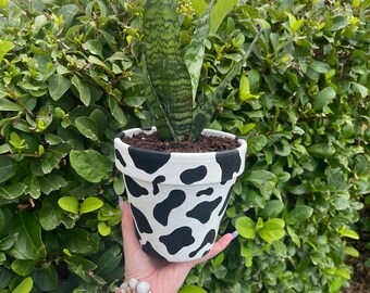 Cow Flower Pot - Etsy