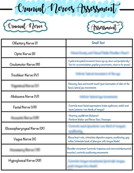 Cranial Nerves Chart Assessment Cheat Sheet 2020 Nurseslabs