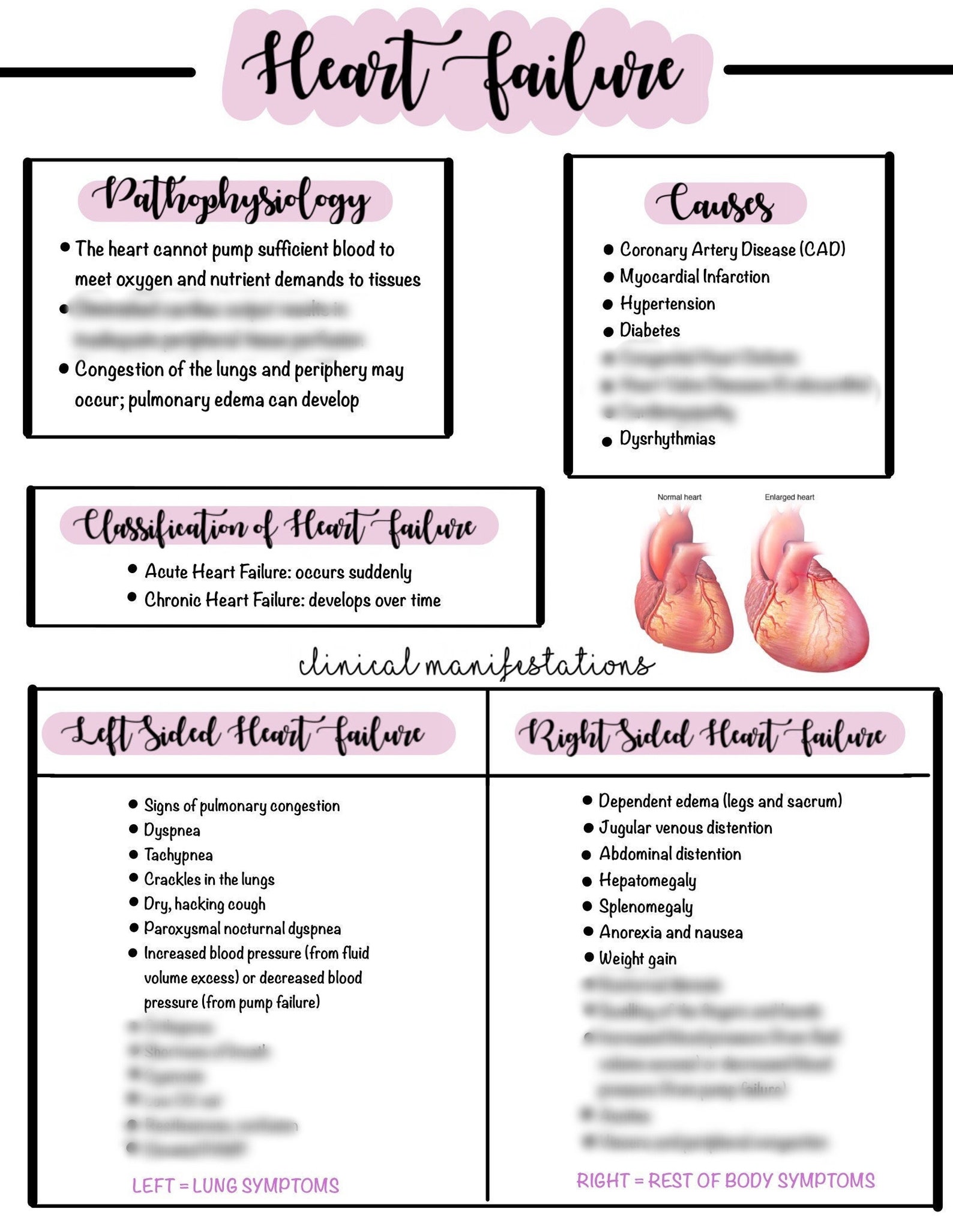 Heart Failure Pulmonary Edema 3 Pages Nursing Notes NCLEX Review ...