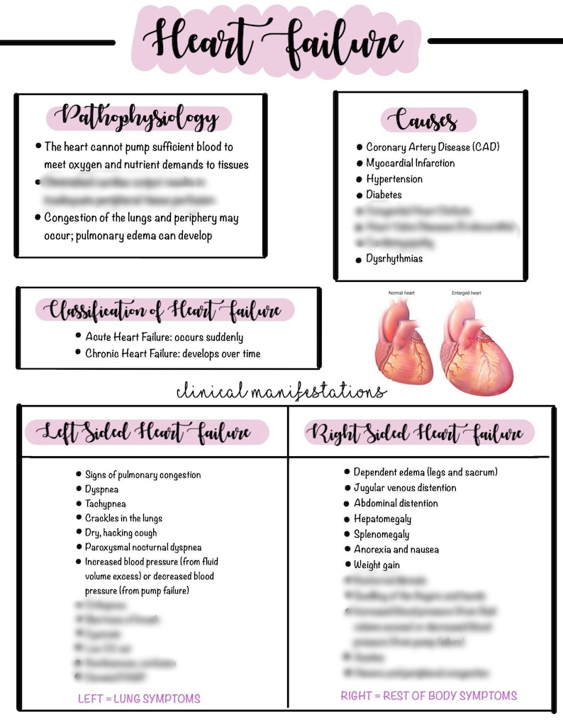 Heart Failure Pulmonary Edema 3 Pages Nursing Notes NCLEX Review ...