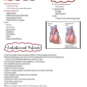 Hypertension | 2 Pages Nursing Notes | Digital Download - Etsy
