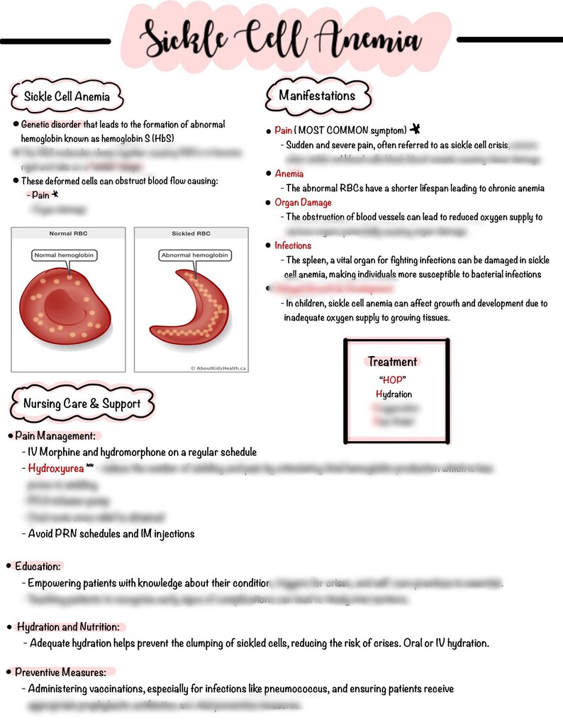 Sickle Cell Anemia | 2 Pages Nursing Notes | NCLEX Review | Digital ...