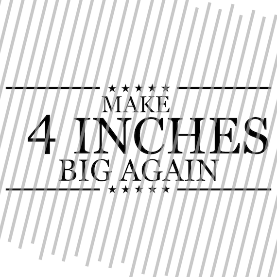 4 Inches Big Again Funny Car Decal SVG Download SVG Files for - Etsy