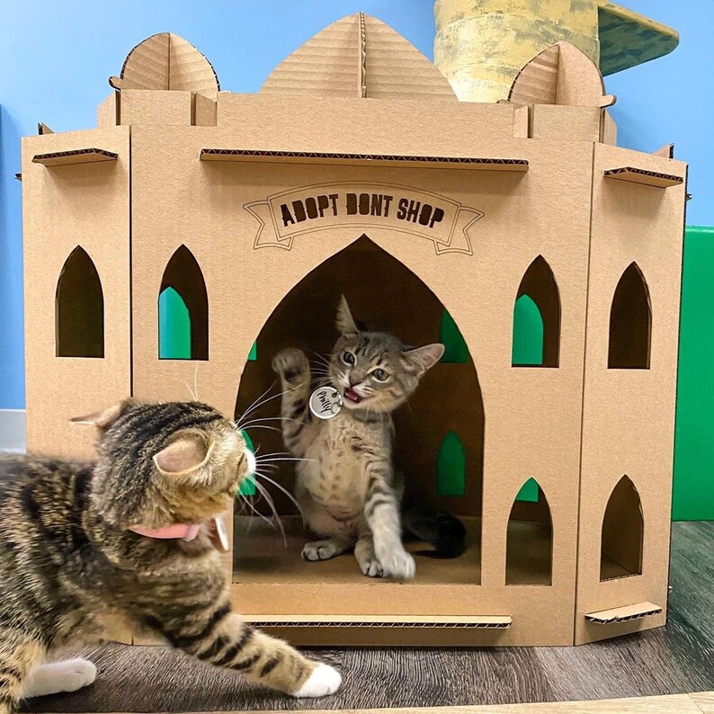 Cardboard Cat Homes Taj Mahal, Cat Playhouse for Indoor Cats, Gift for ...