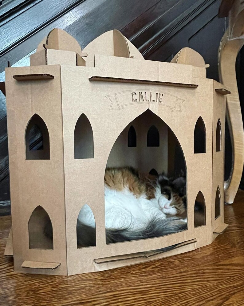 Cardboard Cat Homes Taj Mahal, Cat Playhouse for Indoor Cats, Gift for ...