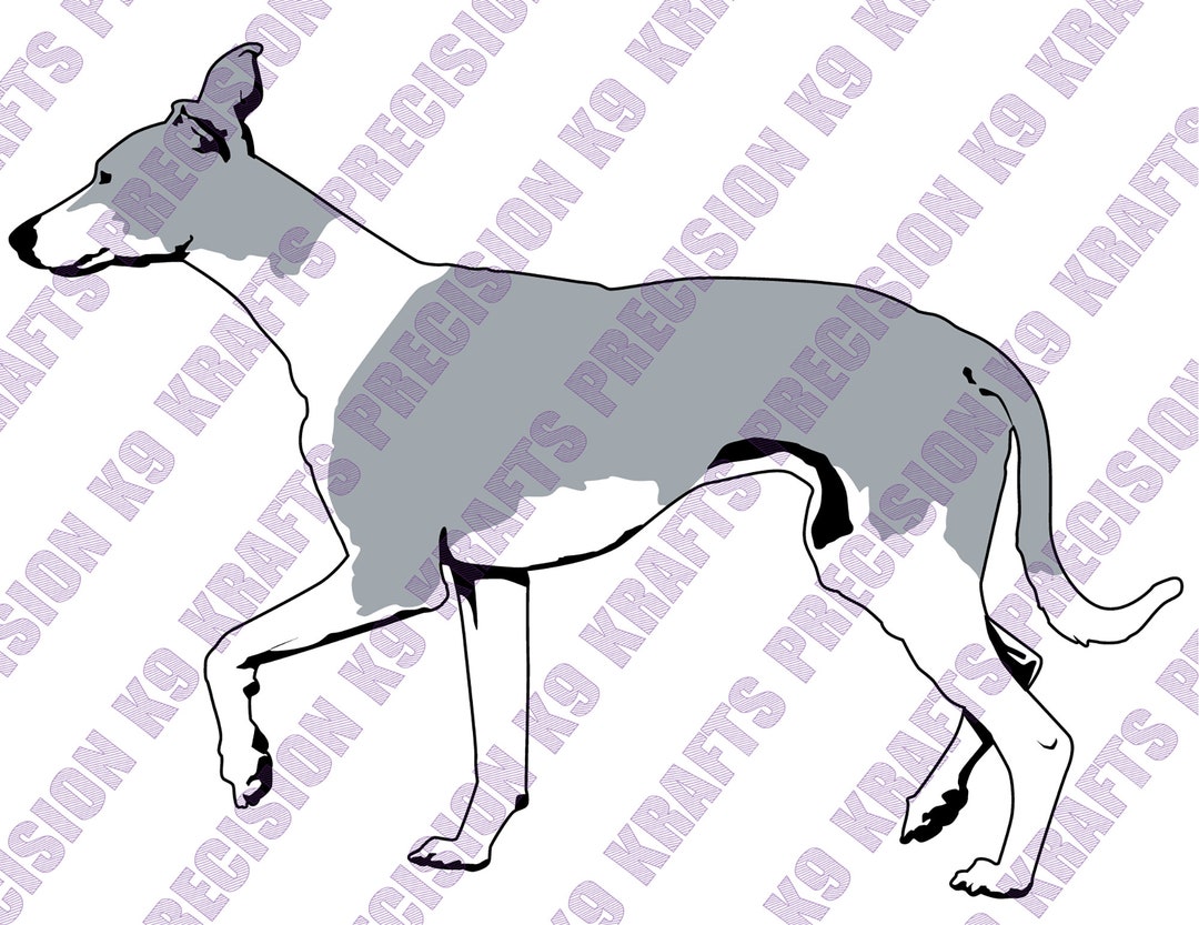 Whippet, Walking, Motion, SVG, PNG, Ai, PDF, Clipart - Etsy