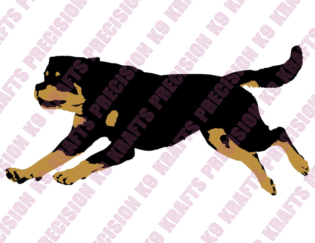 Running Rottweiler, Rottie, Dxf, Sg, Eps, Ai - Etsy