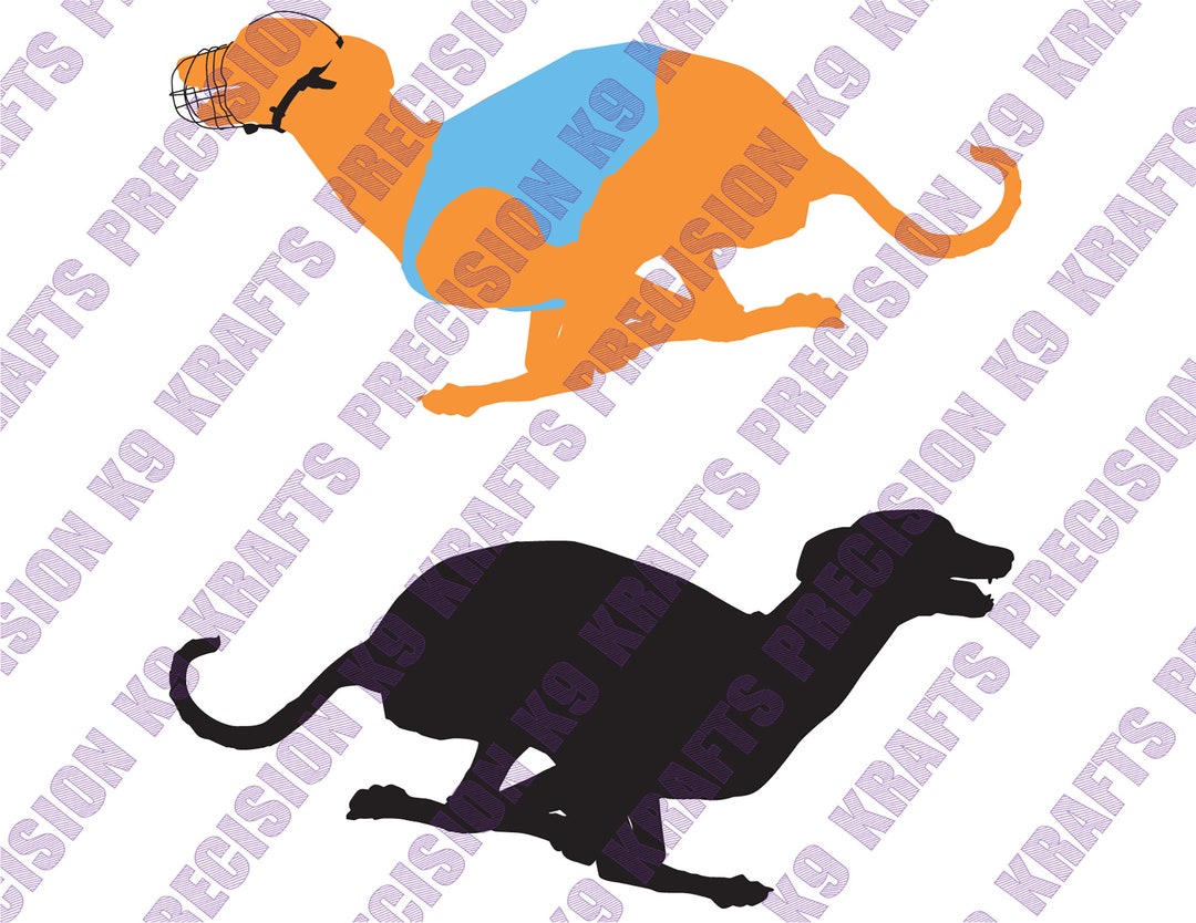 Racing Pharaoh Hound, Svg, Eps, Ai, Png, Vector File, Cricut ...