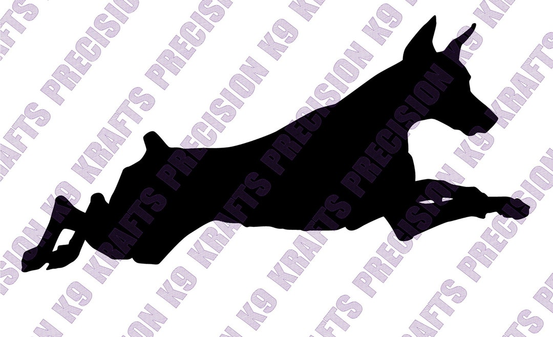 Doberman Pinscher , Dobie, Dock Diving, Dock Jumping, Water Dog, Jump ...