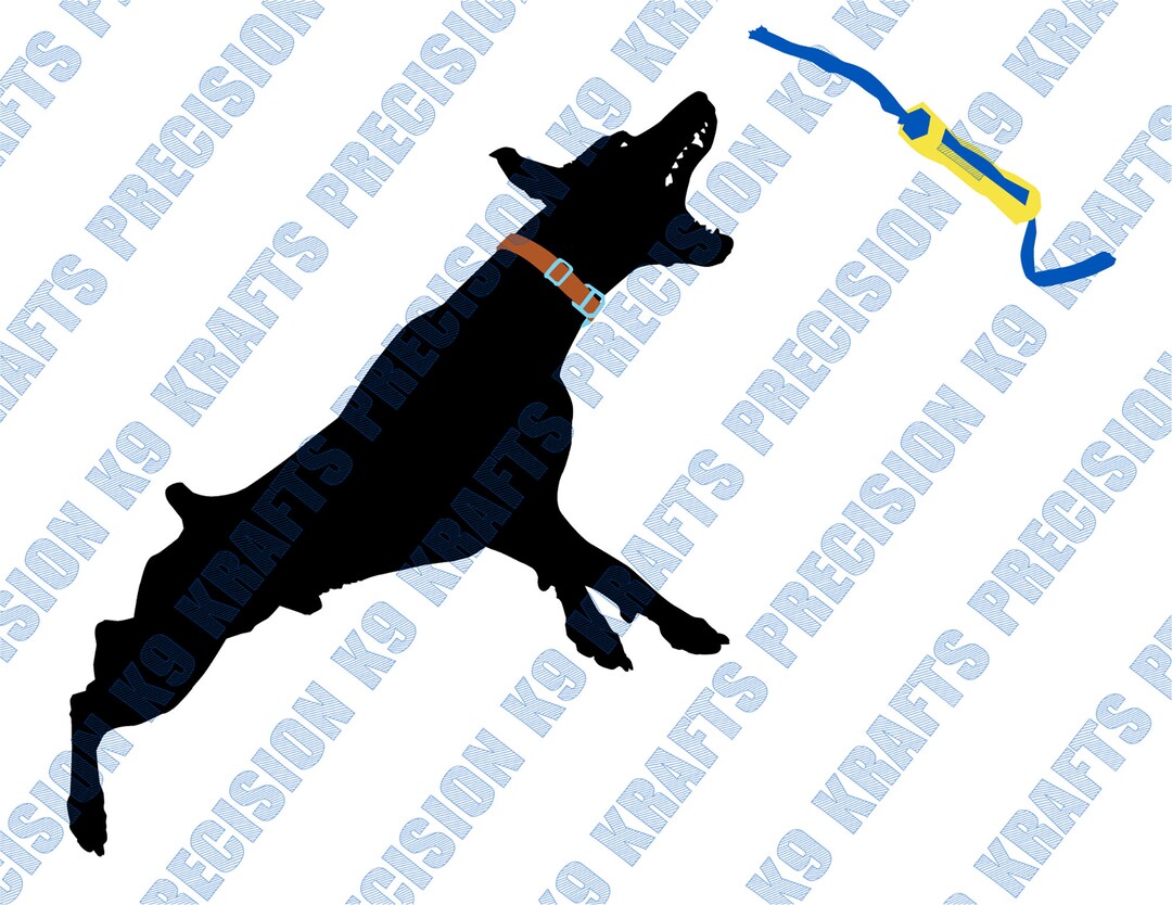 German Shorthaired Pointer, Dock Diving, Jumping, Air Retrieve, SVG, Ai ...