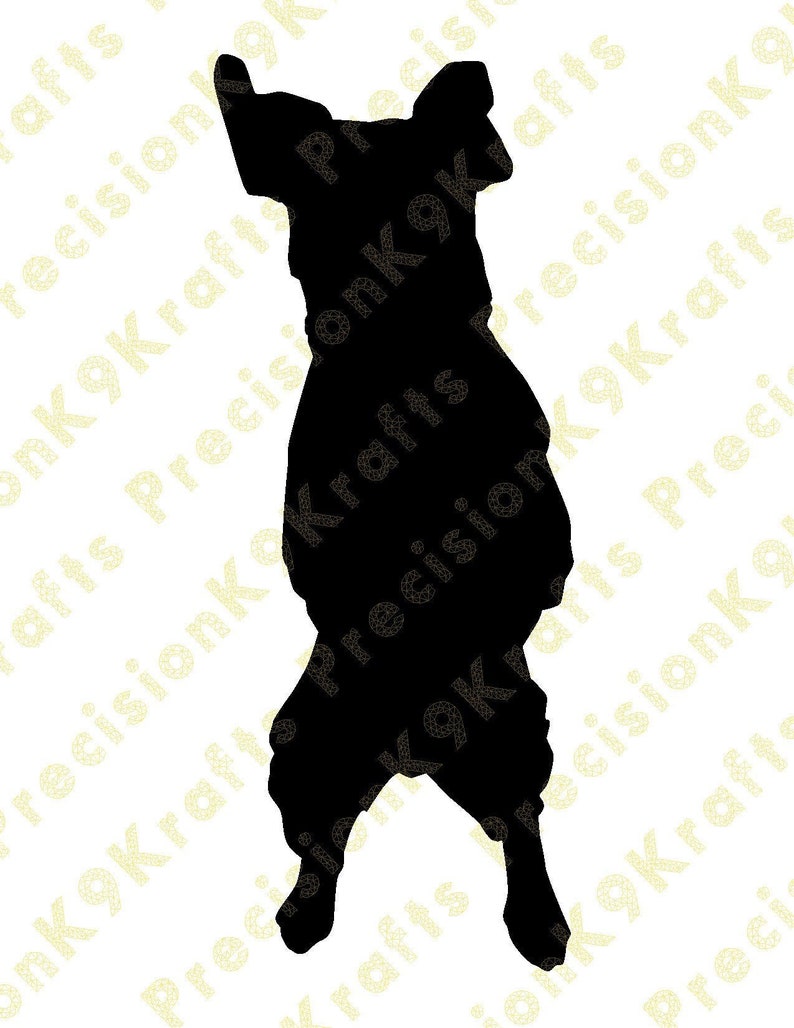 Labrador Retriever, Dock Jumping, Svg - Etsy