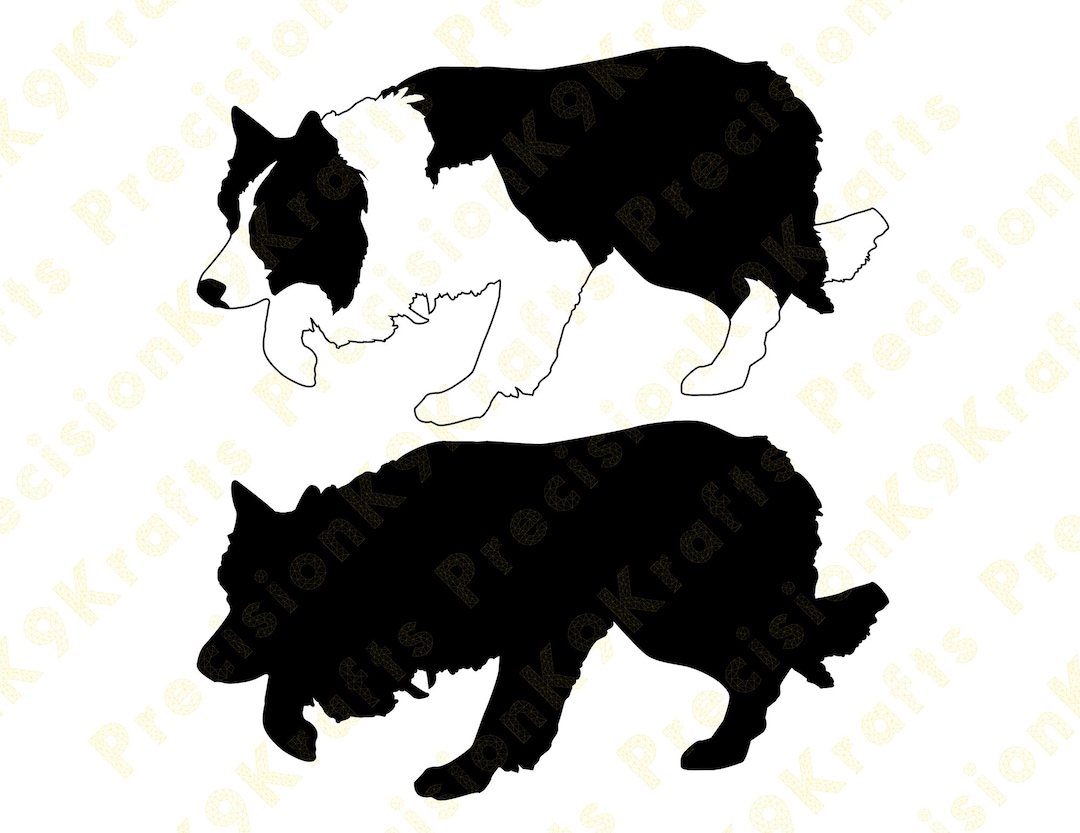 Border Collie, Dxf, Eps, Ai, Png, Svg - Etsy