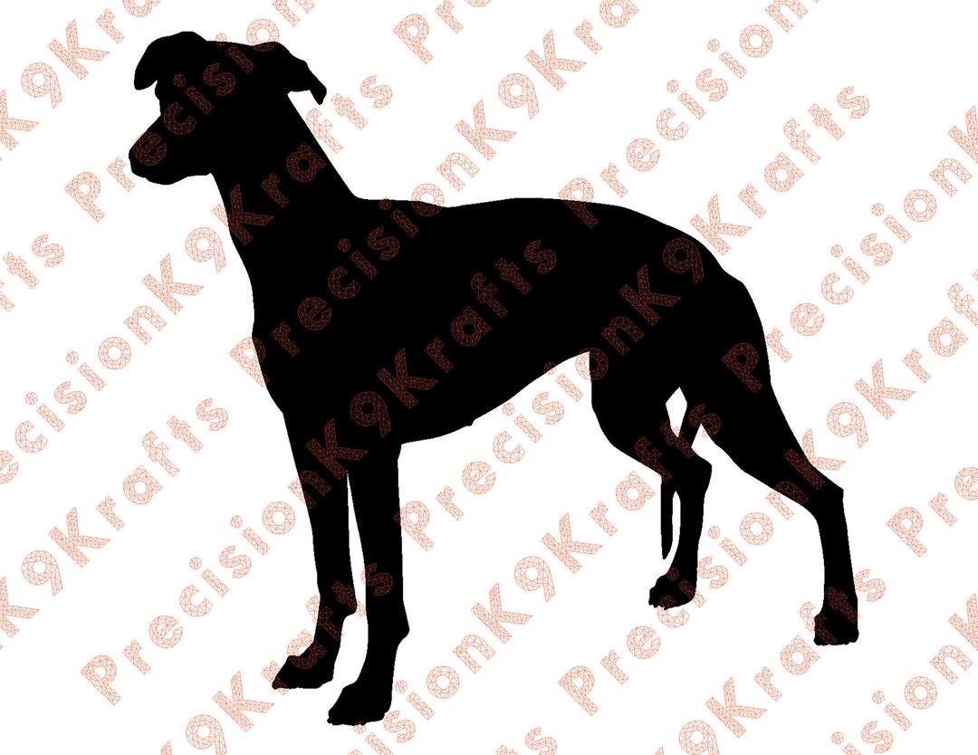 Whippet, Signthound, DXF, SVG, Eps, Ai, Eps - Etsy