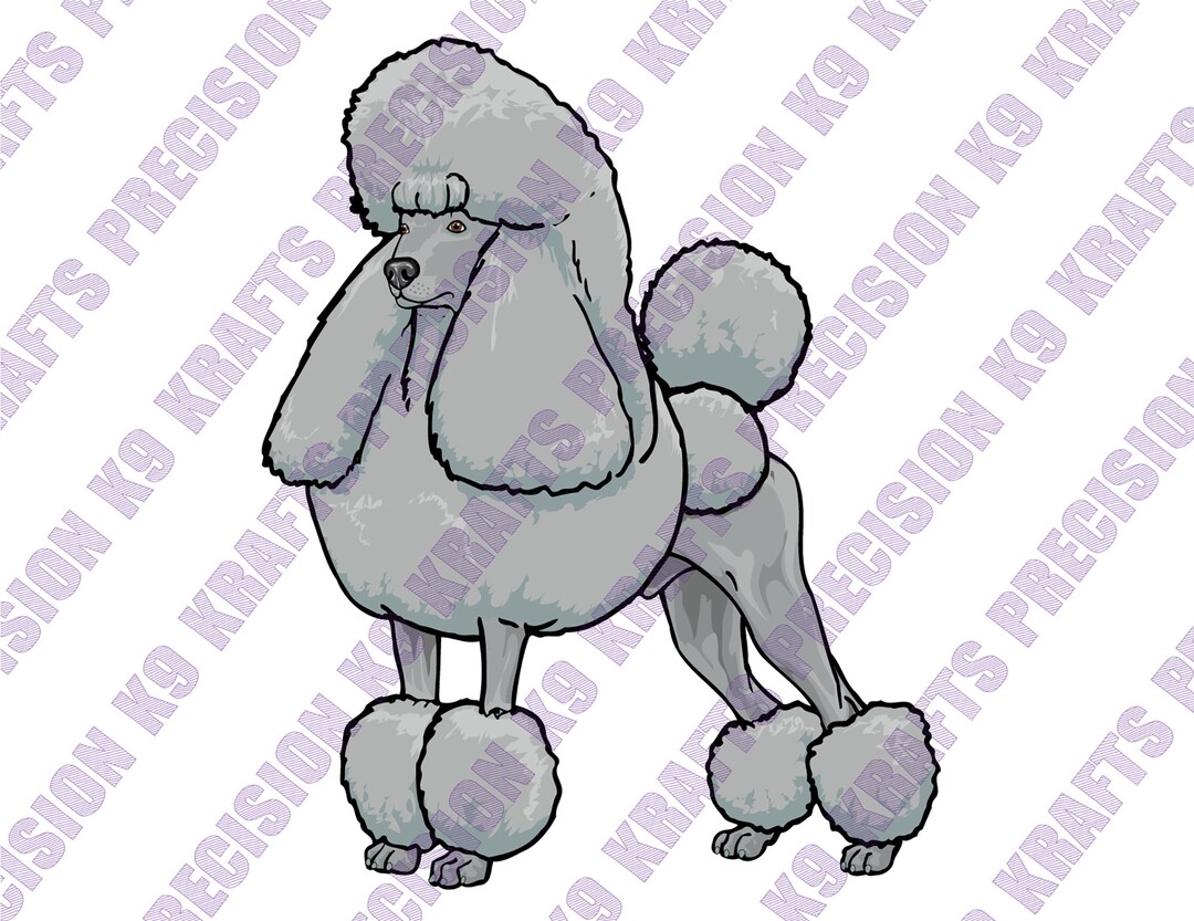 Standard Poodle, Poodle, Svg, Dxf, Ai, Png, Eps, Jpg, - Etsy