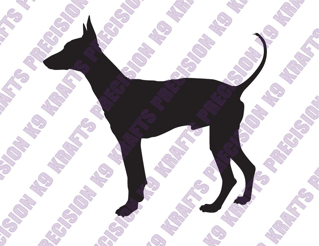 Xolo, Standard Xoloitzcuintle, Mexican Hairless Dog, Conformation, SVG ...