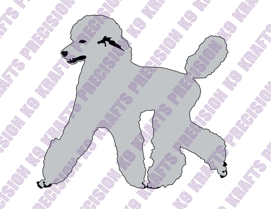 Standard Poodle, Conformation Showing, Poodle, Non-sporting, SVG, PNG ...