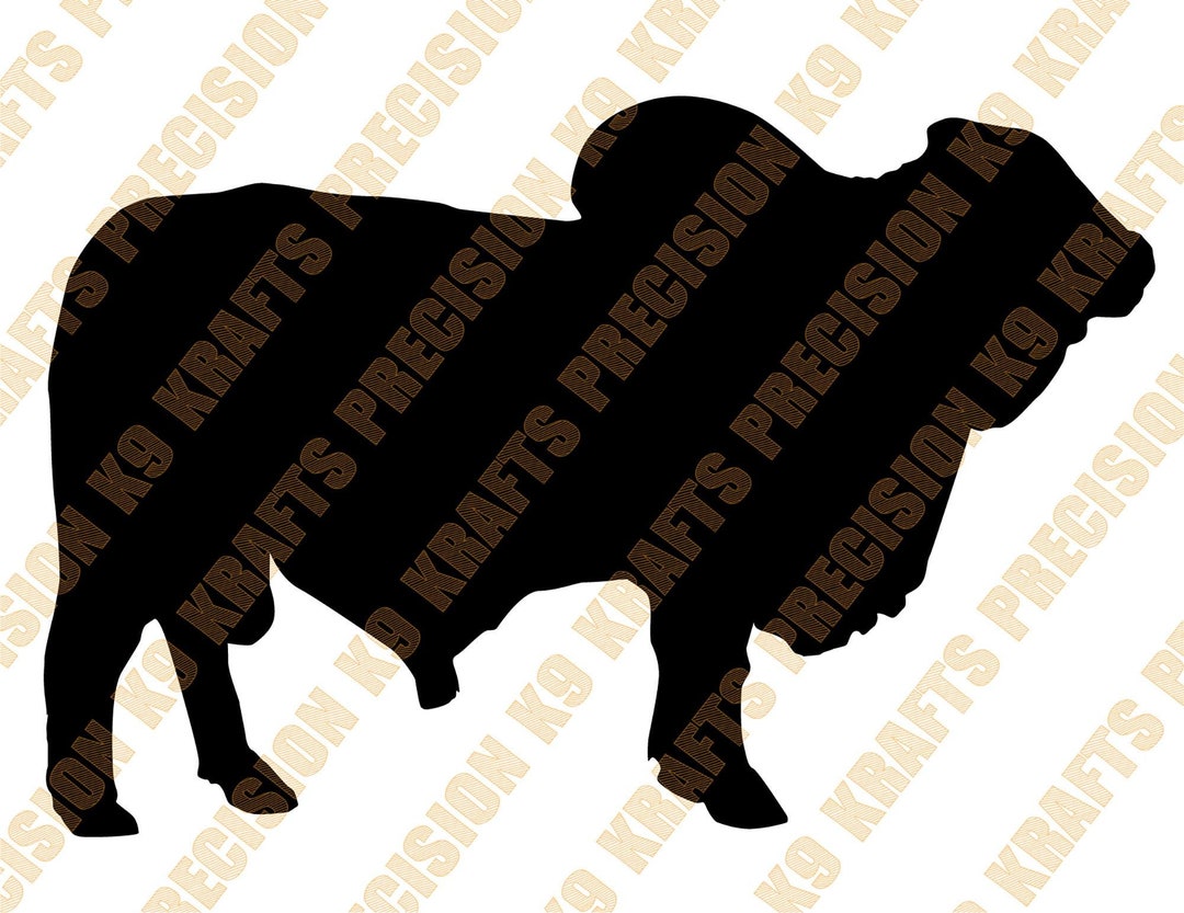 Brahman Bull, Cattle, Bull, Livestock, Png, Ai, PDF, DXF, SVG, - Etsy