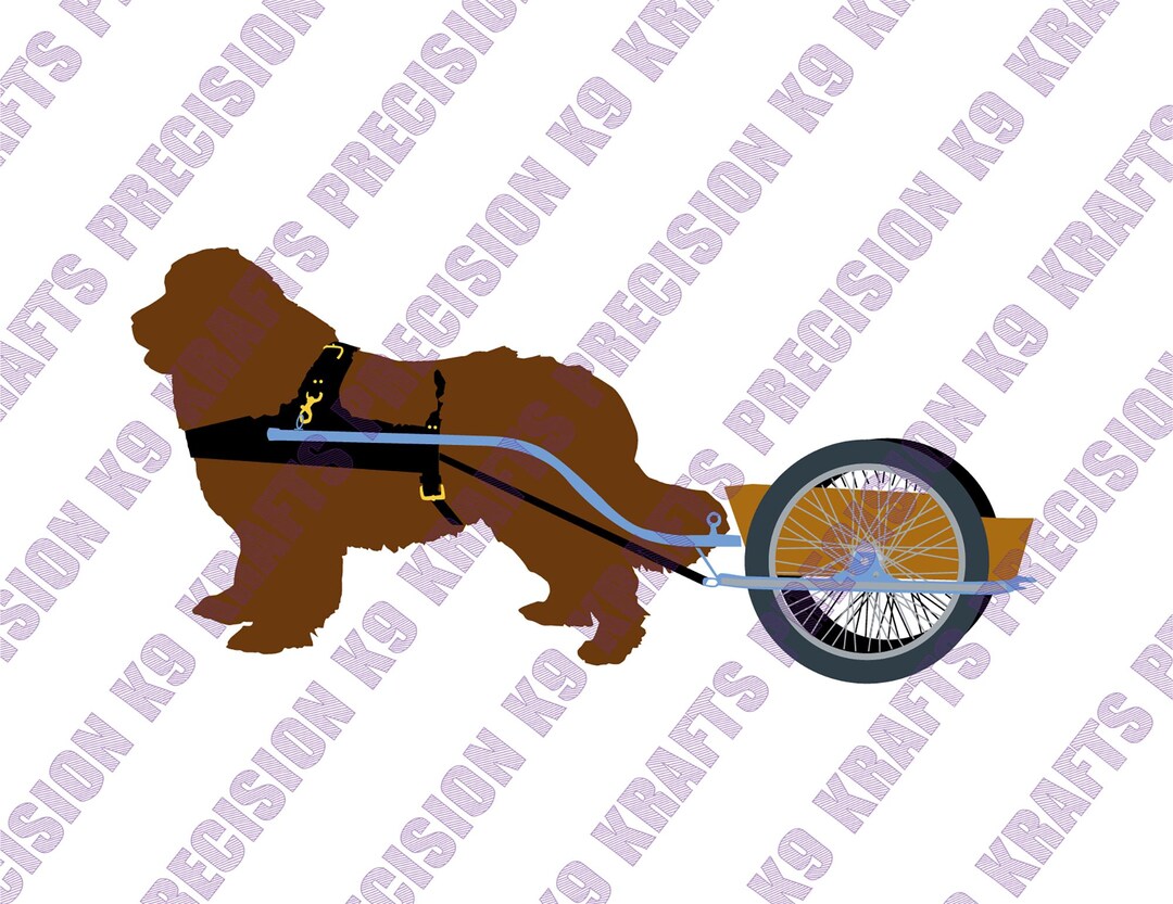 Newfoundland, Newfie, Carting, Draft Dog, Working Breed, SVG, Ai, PDF ...