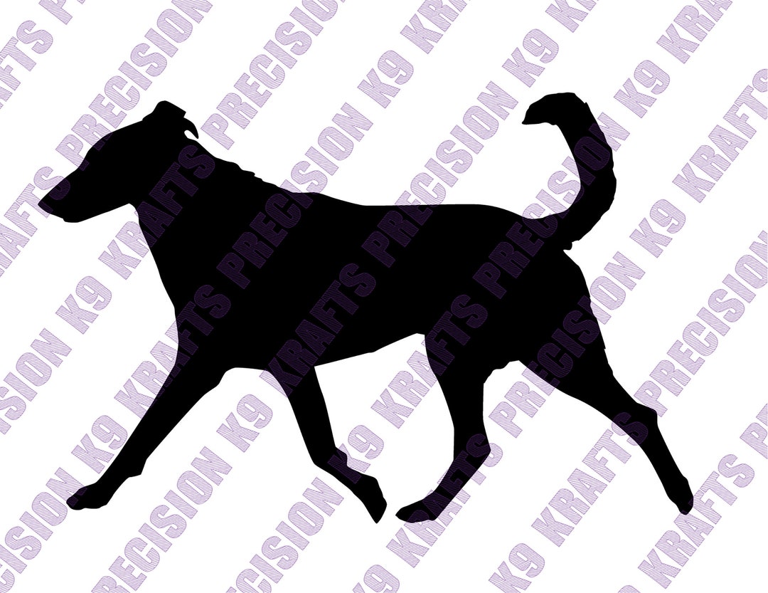 Smooth Collie, Svg, Eps, Png, Ai, Dxf - Etsy
