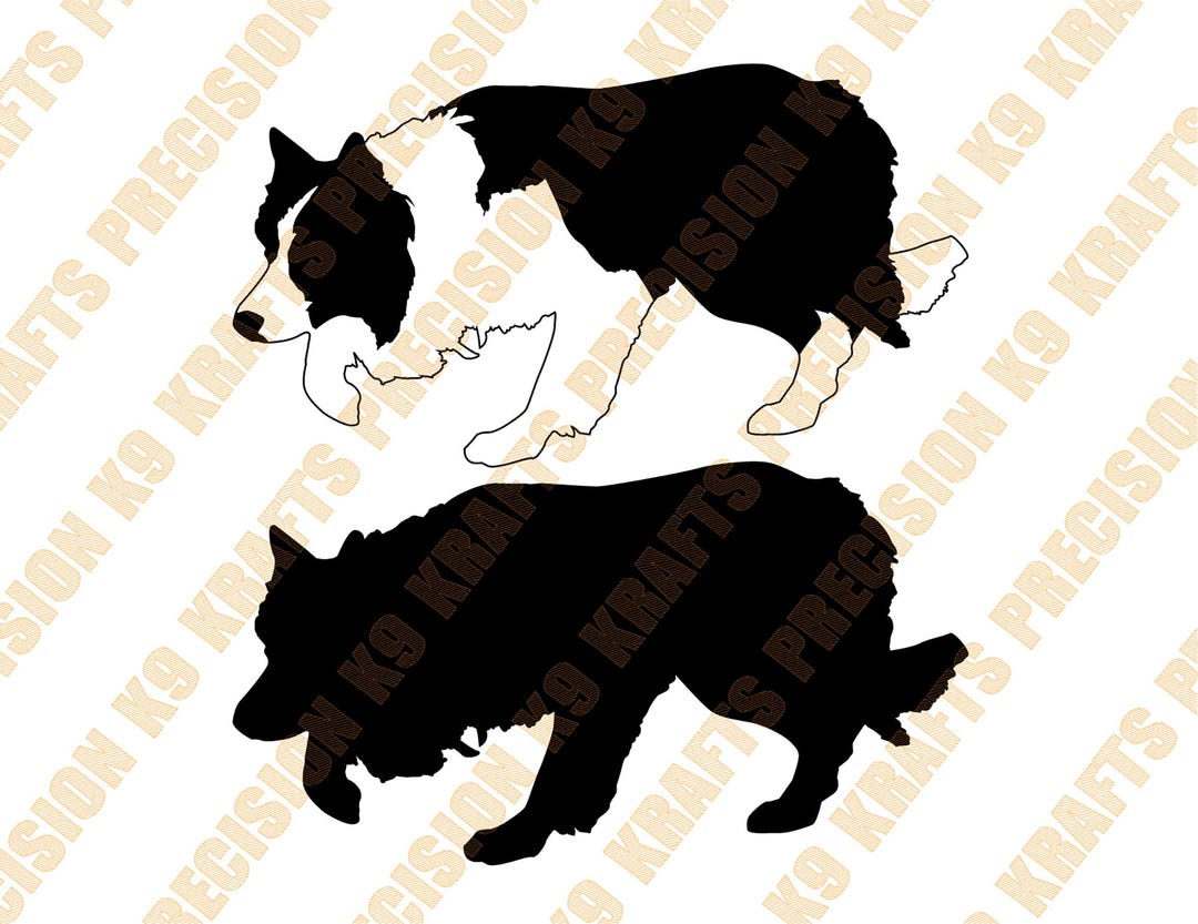 Border Collie, Dxf, Eps, Ai, Png, Svg - Etsy
