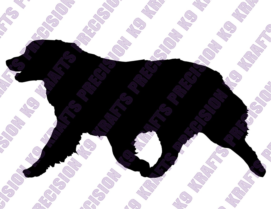 Gaiting Australian Shepherd, Aussie, Eps, Png, Svg, Ai, Dxf - Etsy
