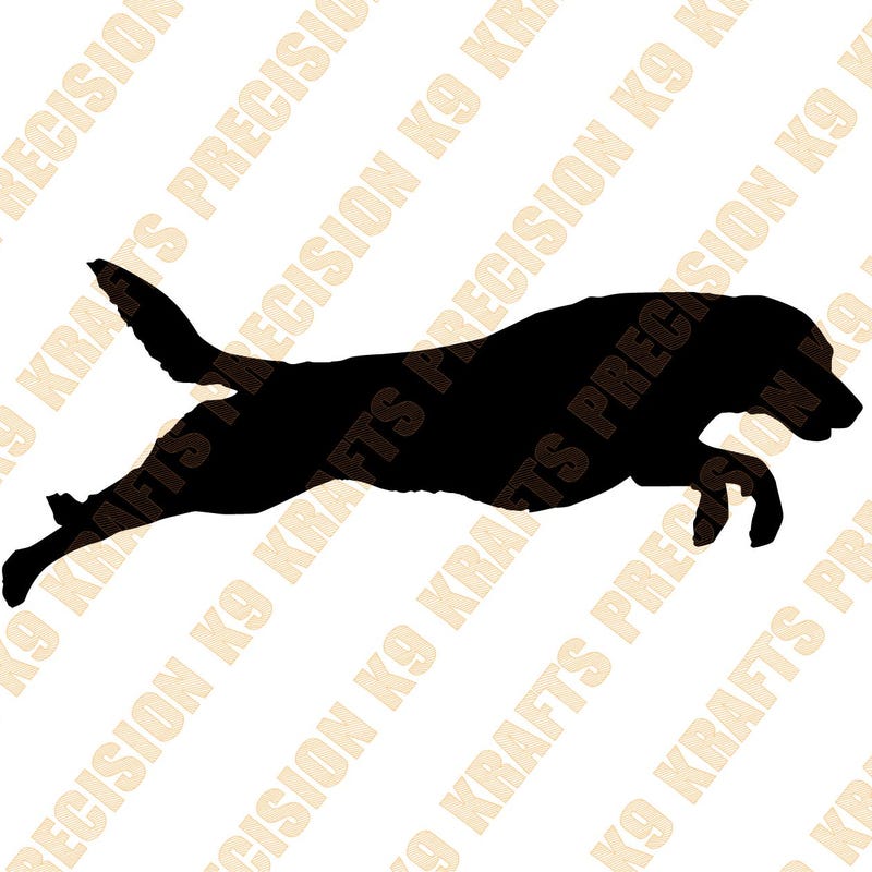 Dog Training Labrador - Etsy