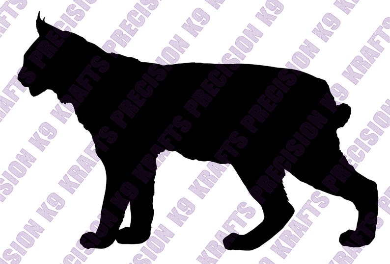 Standing Bobcat, Wildcat, SVG, PNG, PDF, Clipart, Vector Art, Cut File ...