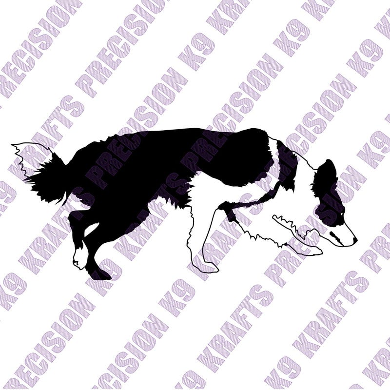 Border Collie Scent Work - Etsy