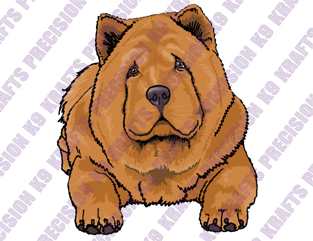Chow Chow Vector Illustration, Clipart (digital Download) - Etsy