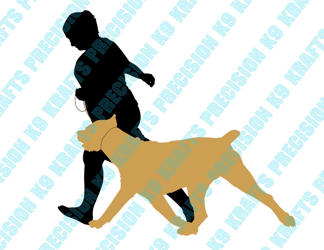 Cane Corso, Conformation Handler, Dog Show Handler, Dog Handler, Dog ...
