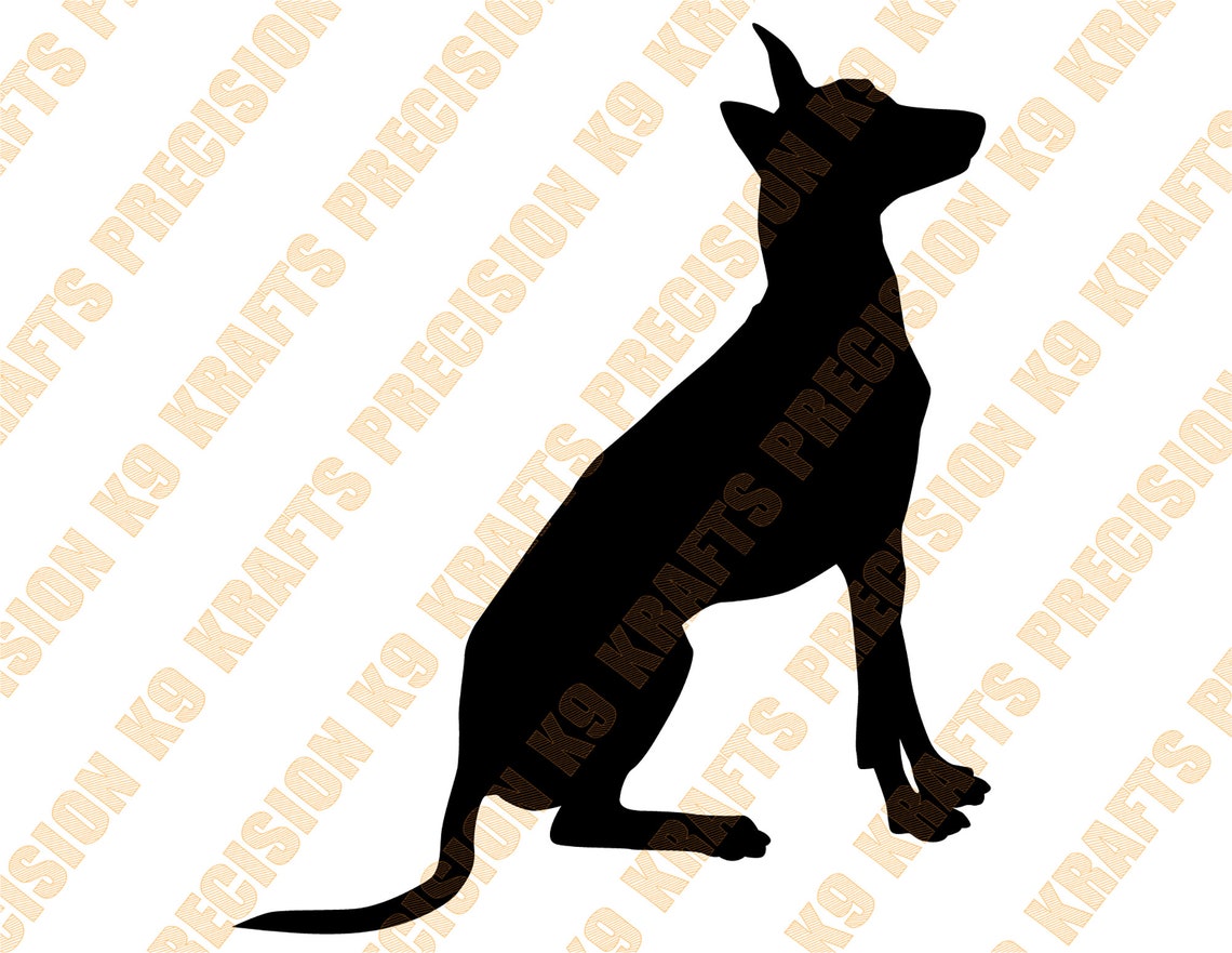 Pharaoh Hound Sitting, DXF, SVG, Ai, PNG, - Etsy