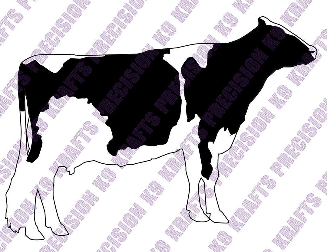 Holstein Cow, Dairy Cattle, Cow, Cattle, Livestock, - Etsy
