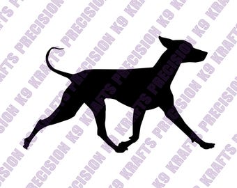 Mexican Hairless Dog Silhouette: SVG, PNG, DXF Files (digital Download ...