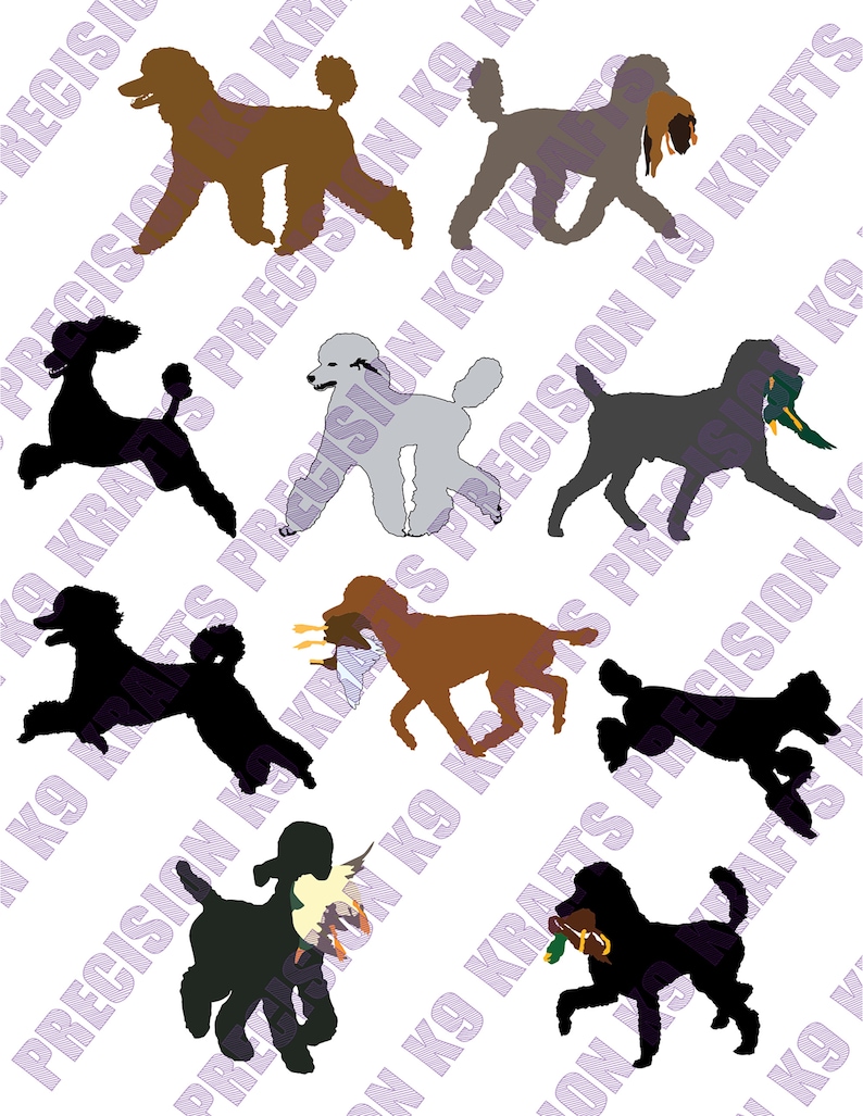 Standard Poodle Duck Retrieving Hunting Poodle Water Dog - Etsy