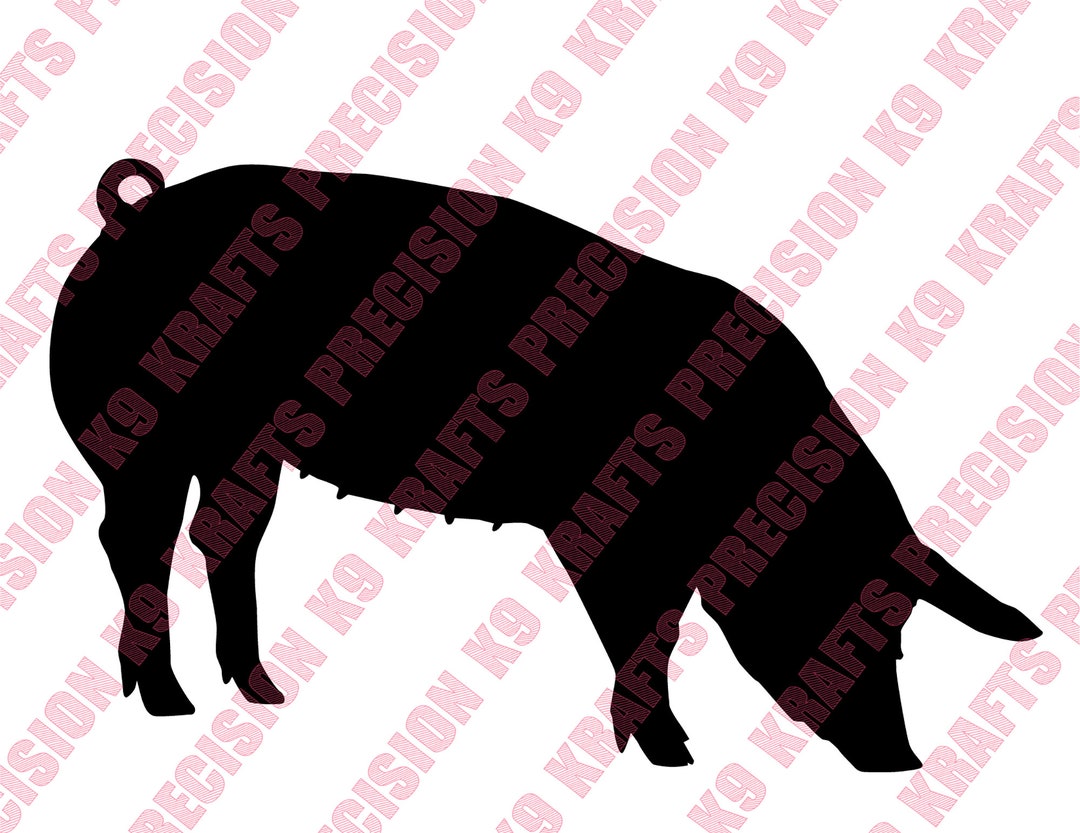 Pietrain, Sow, Pig, Hog, Swine, Hunting, PNG, Ai, PDF, Clipart, Vector ...