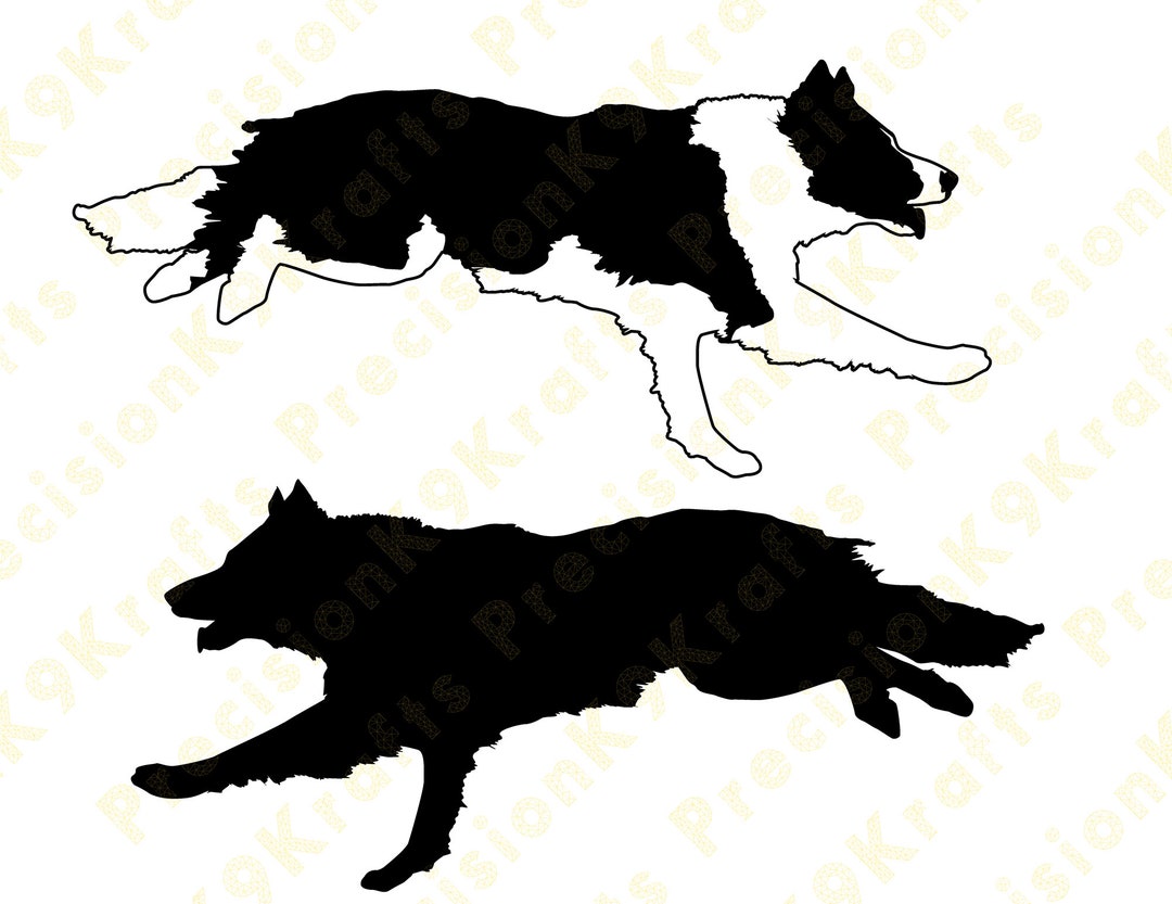 Border Collie Running, SVG, DXF, Eps, Ai, Png, - Etsy UK