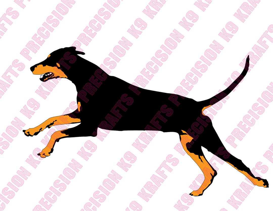 Running Doberman Pinscher, Dobie, SVG, PNG, Ai, PDF, Clipart, Vector ...