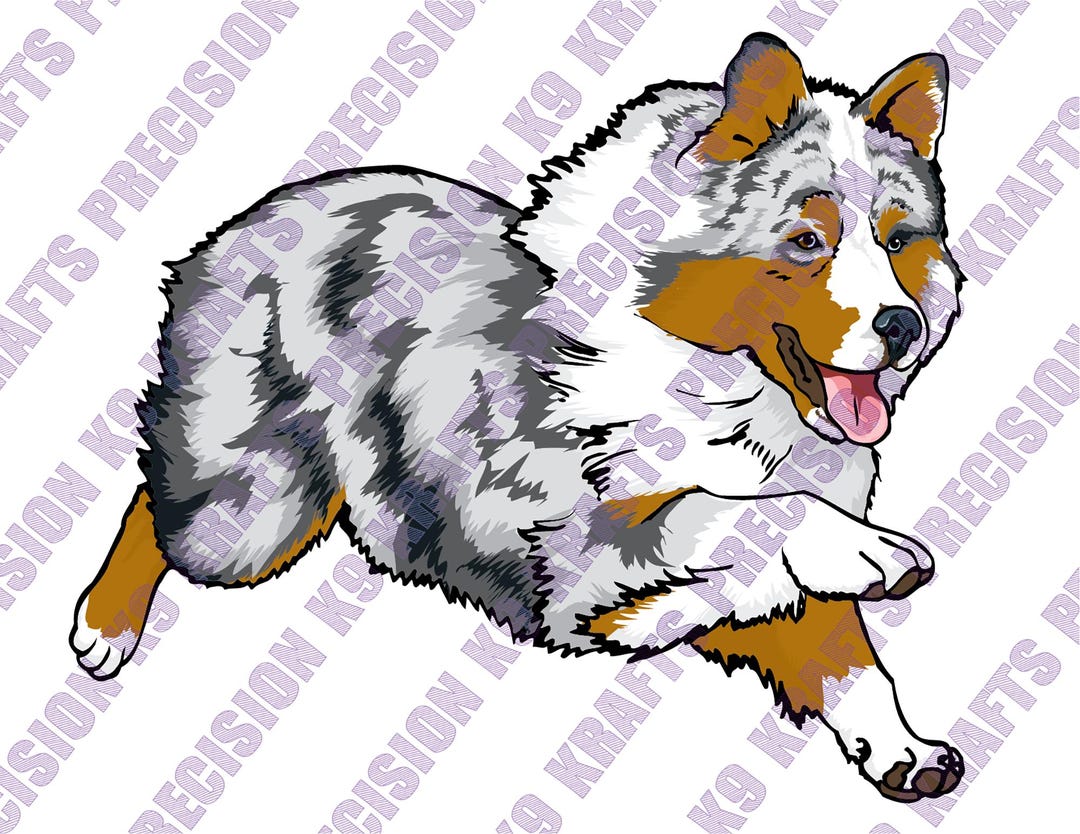 Australian Shepherd, Aussie, Herding Breed, Agility, SVG, PNG, Ai, - Etsy