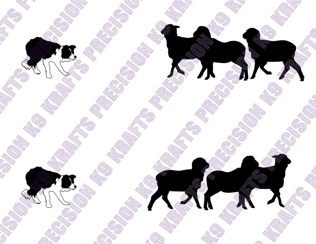 Border Collie Herding Sheep, SVG, PNG, Ai, PDF, Clipart, Vector Art ...