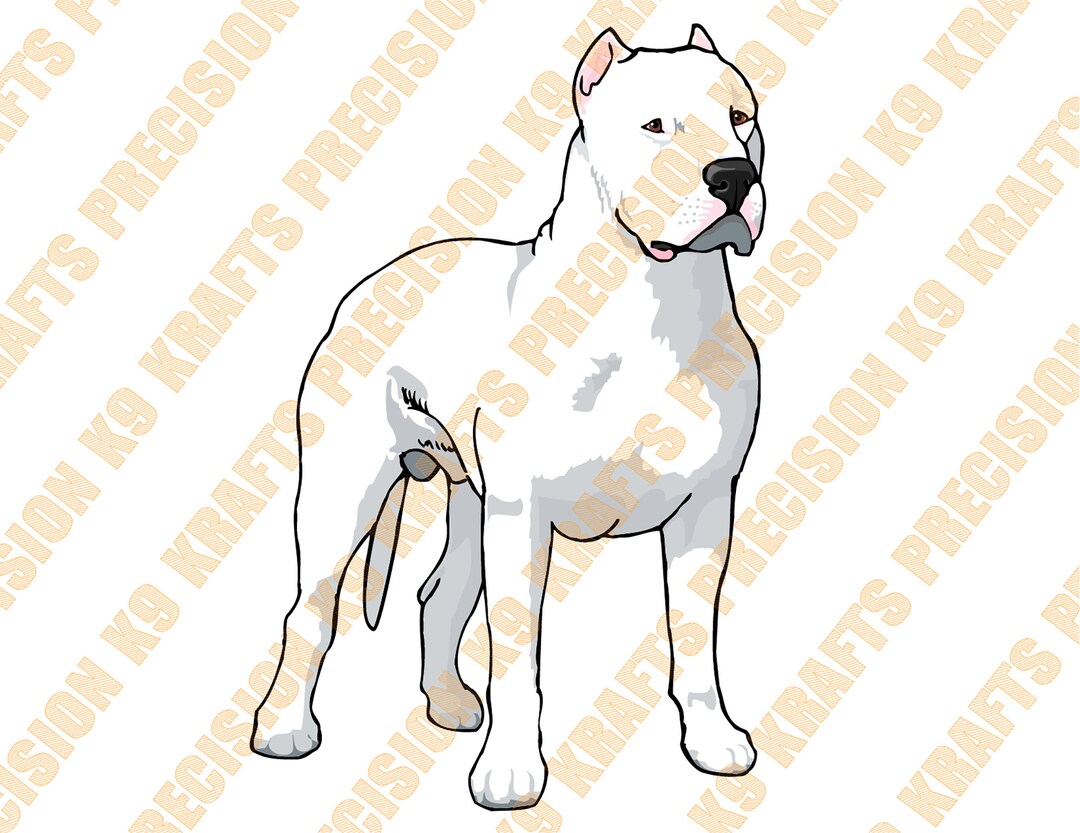 Argentine Dogo, Dxf, SVG, Eps, Ai, Png - Etsy