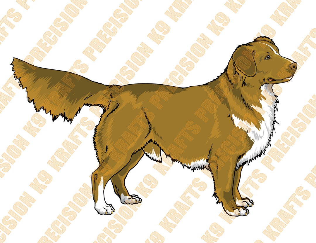 NSDTR, Toller, Duck Dog, DXF, Ai, SVG, Eps, Png, - Etsy Canada