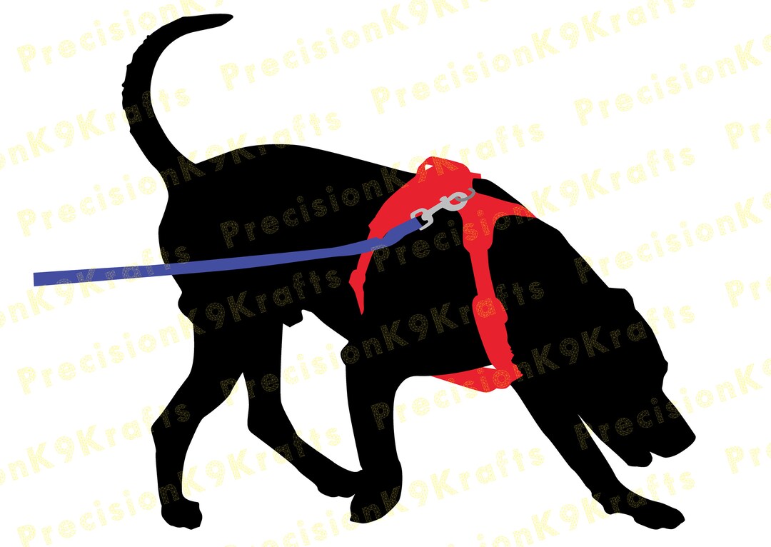 Black Labrador Retriever Tracking - Etsy