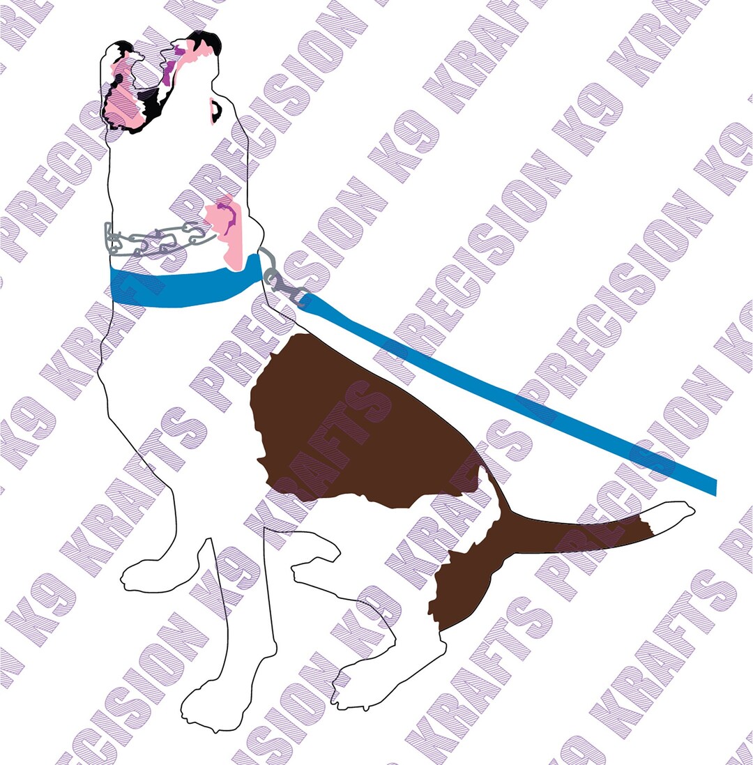 American Bulldog, Protection Dog, Schutzhund, Police Dog, Military Dog ...