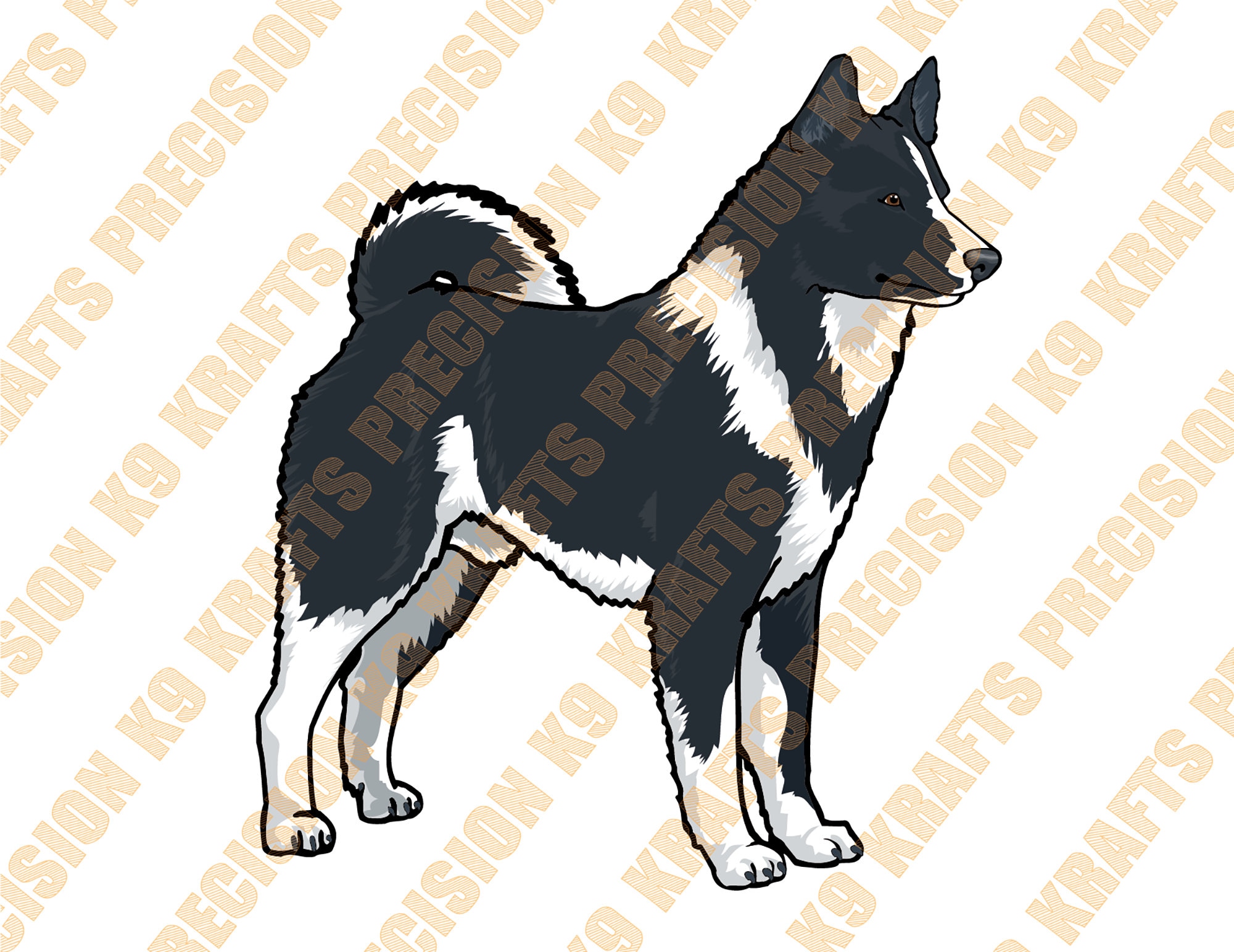 Karelian Bear Dog
