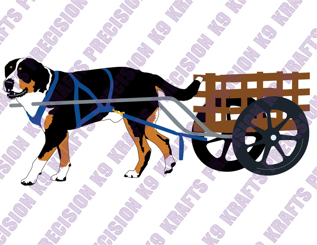 Greater Swiss Mountain Dog Carting Clipart: SVG, PNG, PDF (digital ...