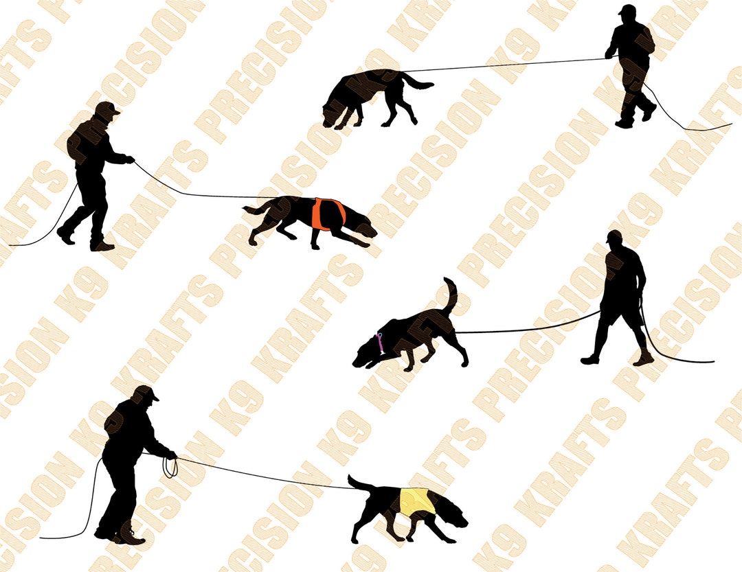 Tracking Handlers and Their Dogs, Labrador Retriever, Lab, Scent Work ...