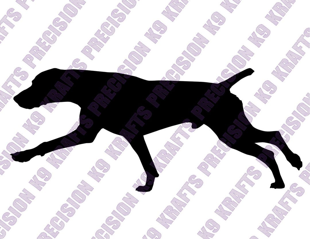 German, Shorthaired Pointer, GSP, Pointer, Gundog, Birddog, SVG, Ai ...