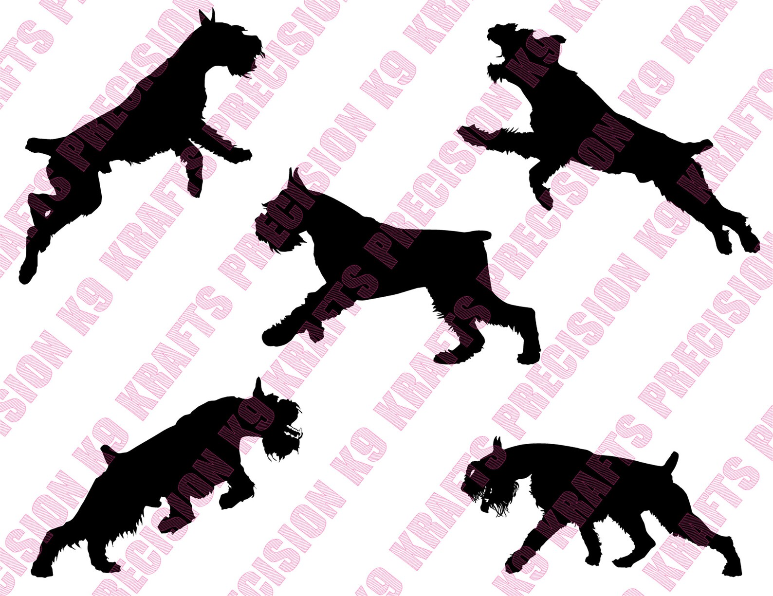 Giant Schnauzer, Schnauzer, Working Breed, Schutzhund, Dog Sport, Ipo ...