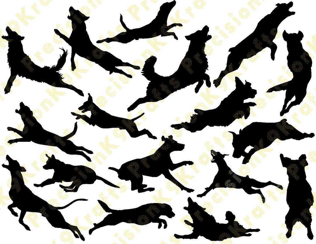 Dock Jumping Dogs, Svg - Etsy