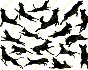 Dock Diving Dogs Svg - Etsy